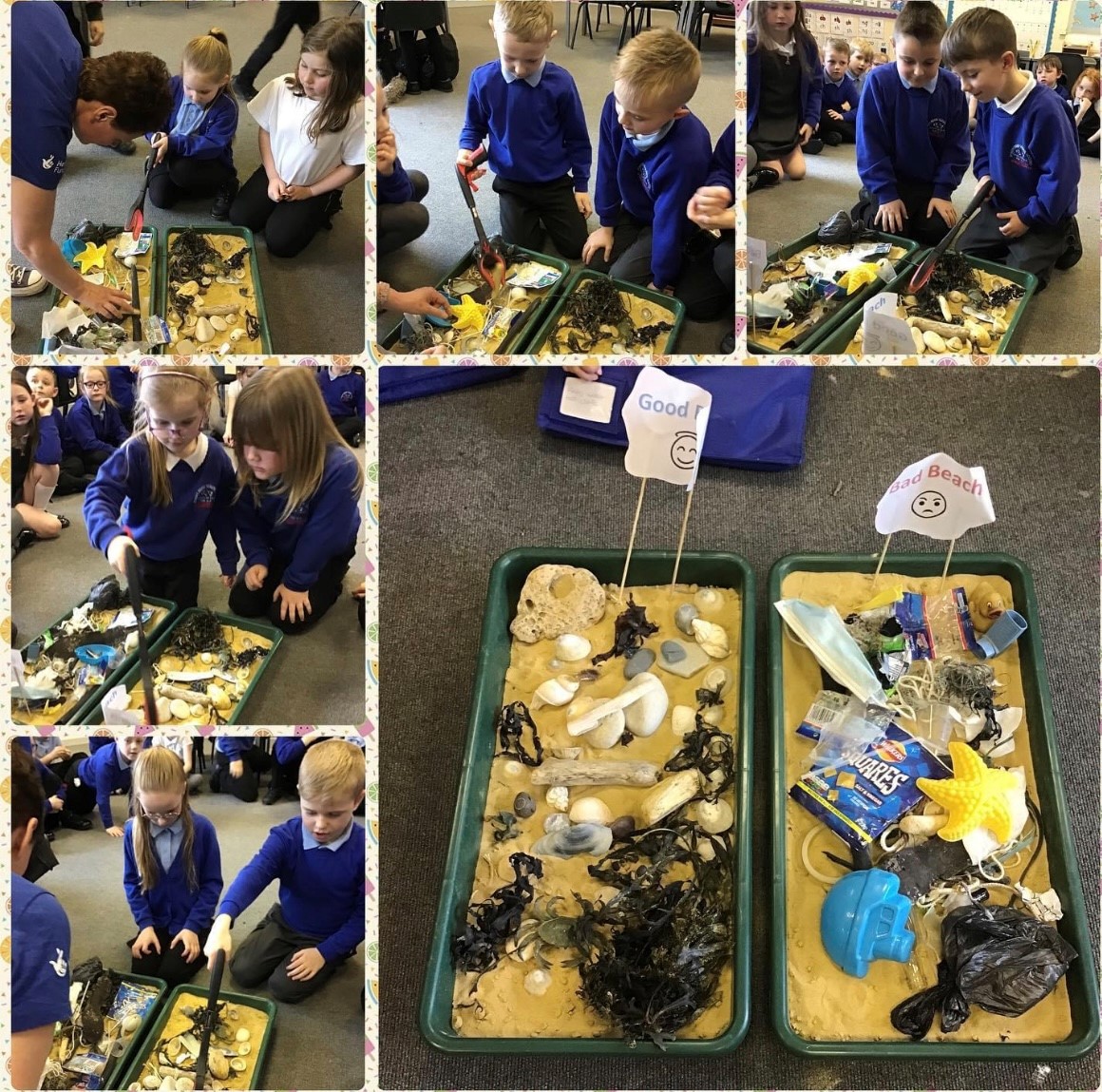 Ryhope Infant School Academy